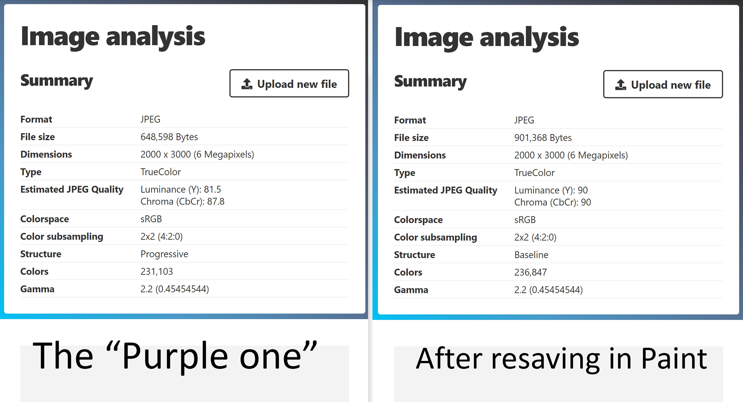 JPG opening purple with lines MAC OSX Big Sur PSP ... - Adobe Product Community - 12155499