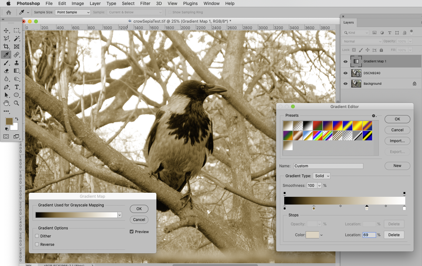 Adding sepia tint to black & white photograph. - Adobe Product Community - 12171795