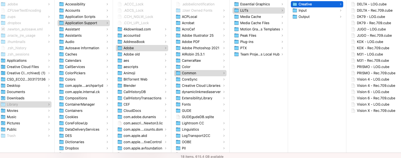 Low Level Exception Occurred Scaling Lumetri And Adobe Community