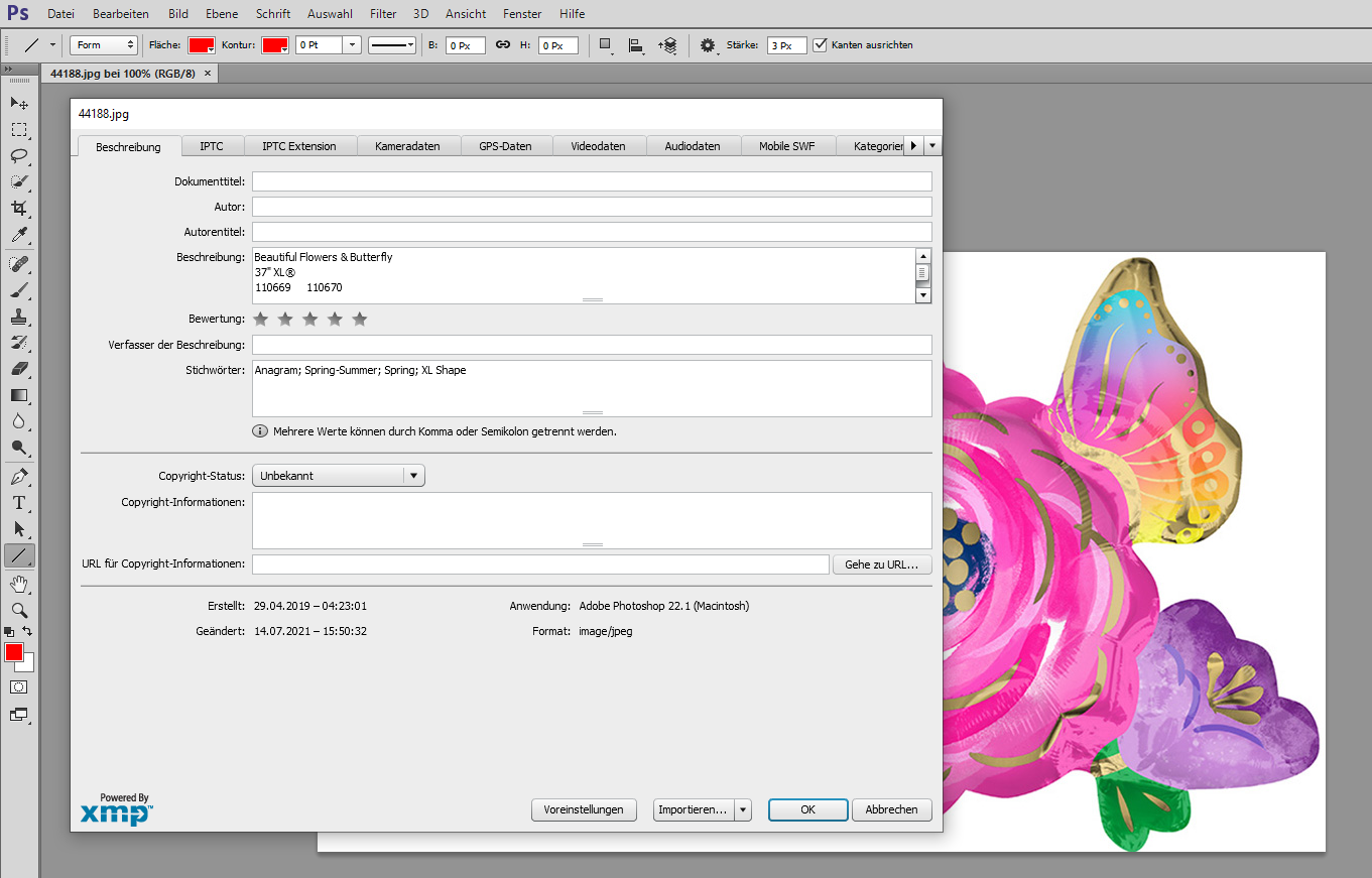 Solved: Live or Static Captions in InDesign 2021 - Adobe Product ...