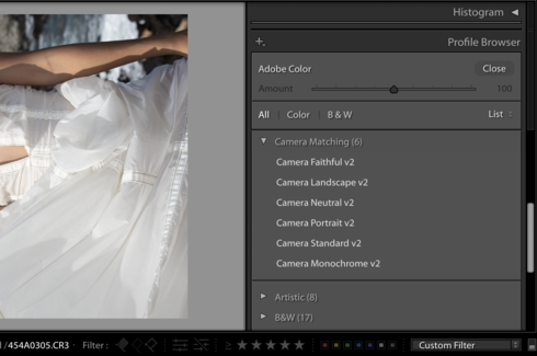P: Support for Canon .CR3 Camera-matching Profiles - Adobe Product ...