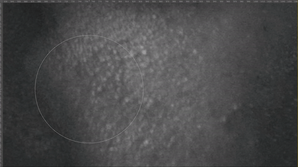 P: Make the brush cursor easier to see (too thin, ... - Adobe Product ...