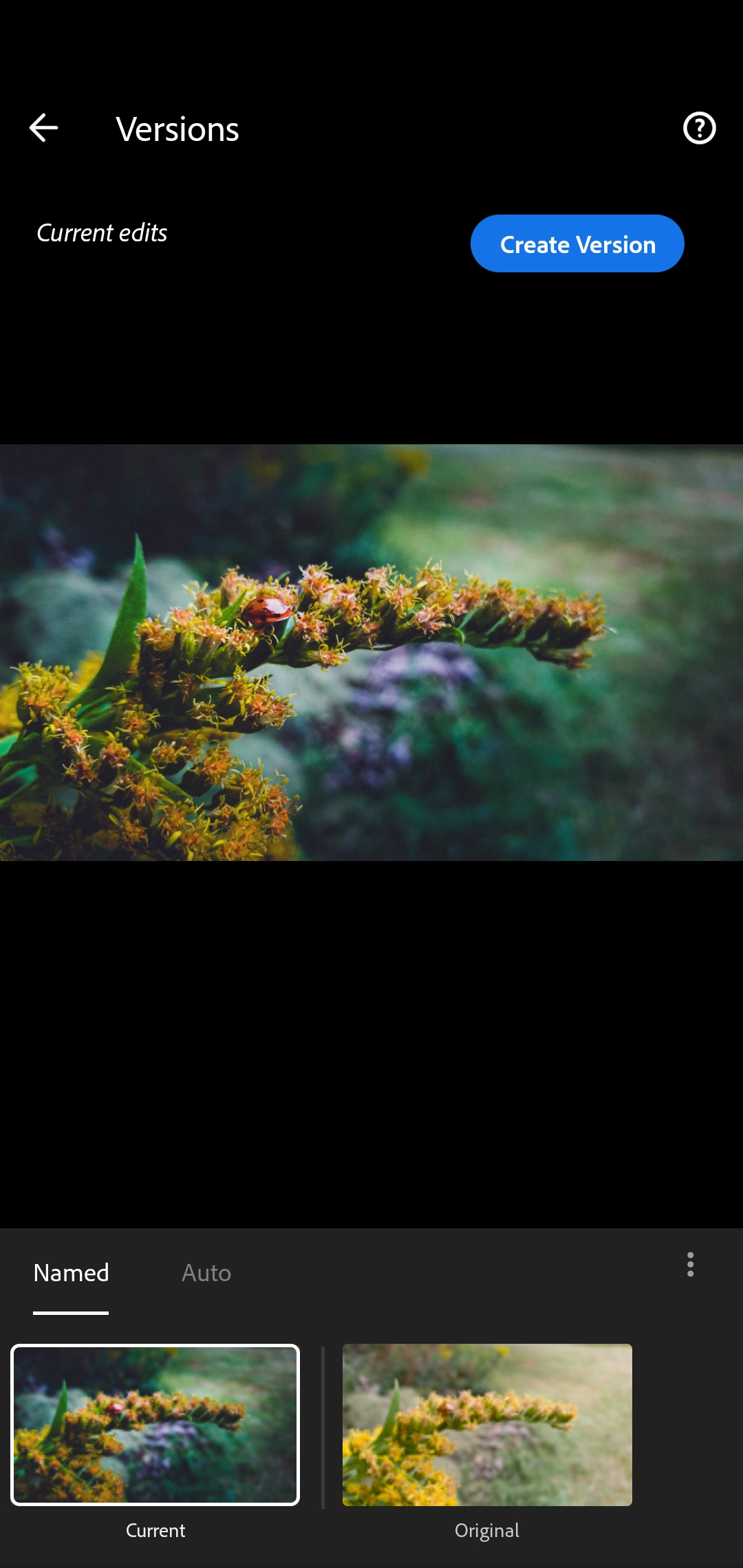 P: Ability to Create Snapshots - Adobe Community - 12240249