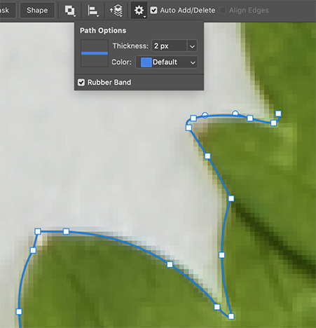 Path thickness bug? - Adobe Product Community - 12207053
