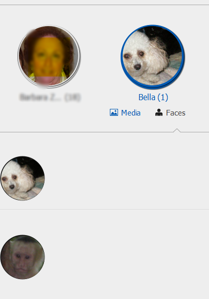 Placeholder? - Adobe Community - 12196620