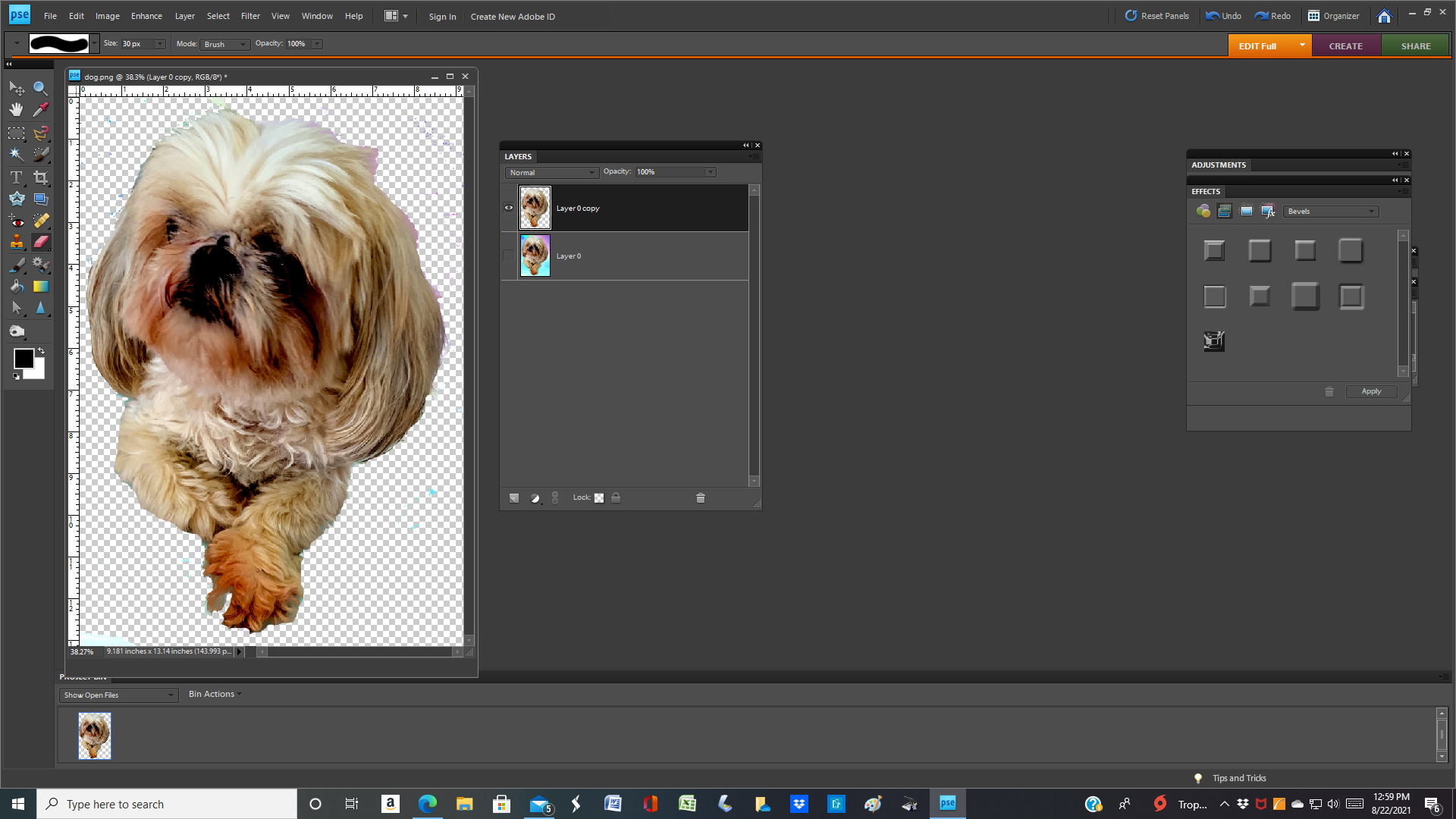 Solved: Transparent Background "Bleed Through" - Adobe Product ...
