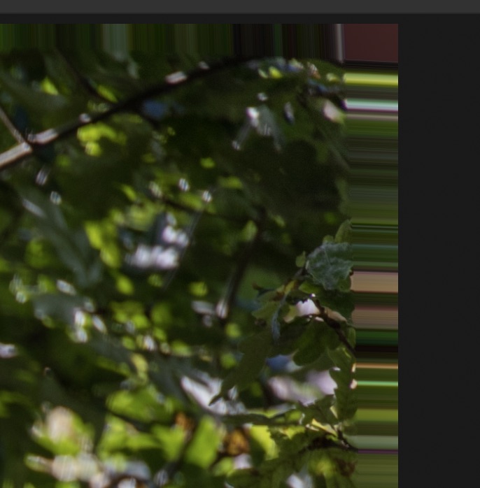 P: Lens Correction Profile for Canon RF24-240 exhi... - Adobe Product ...