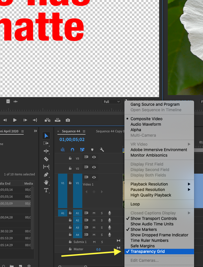 Solved: How to import transparency (.mov) in premiere Pro - Adobe ...