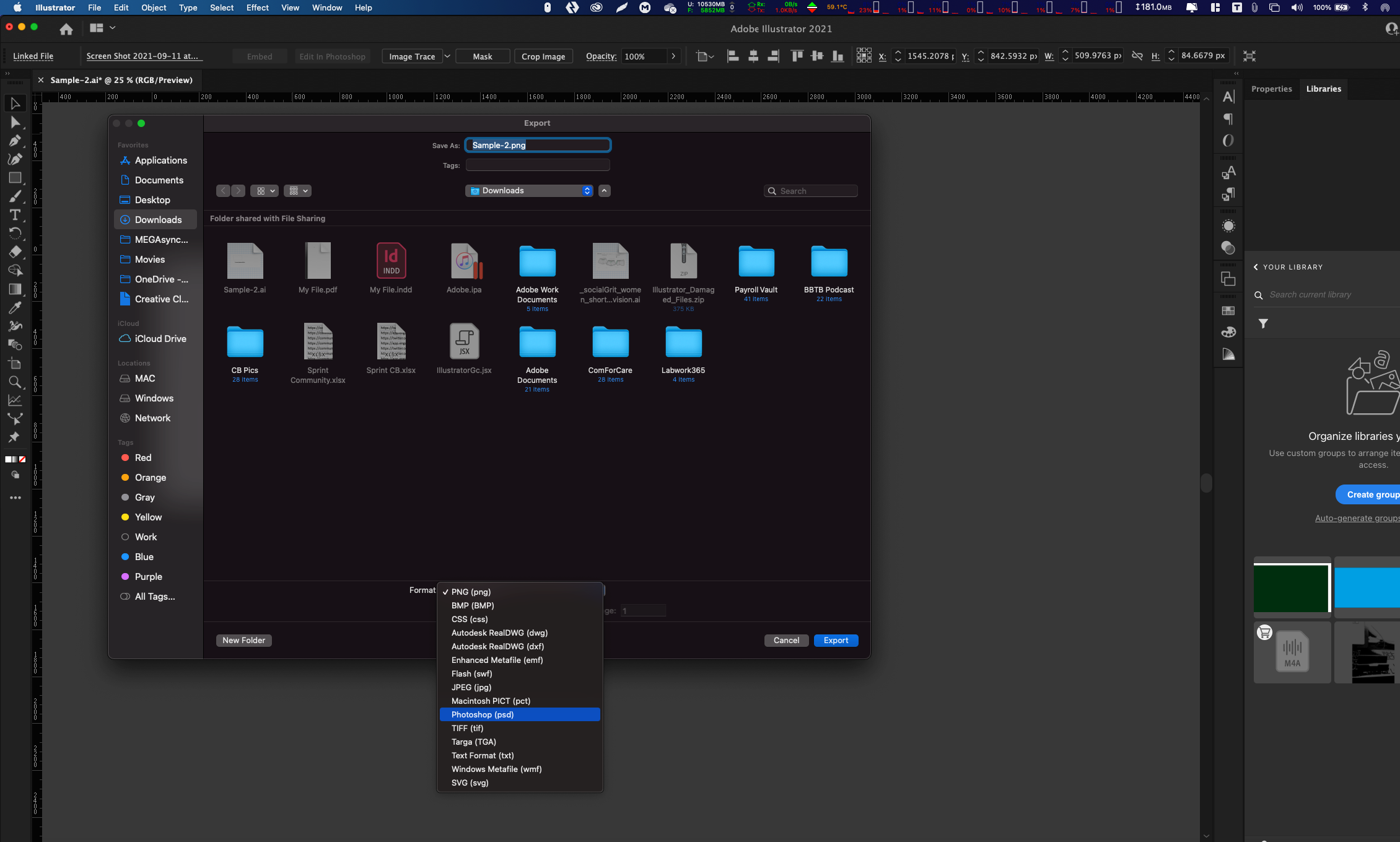 Objects or vector elements copy pasted from Illust... - Adobe Product ...