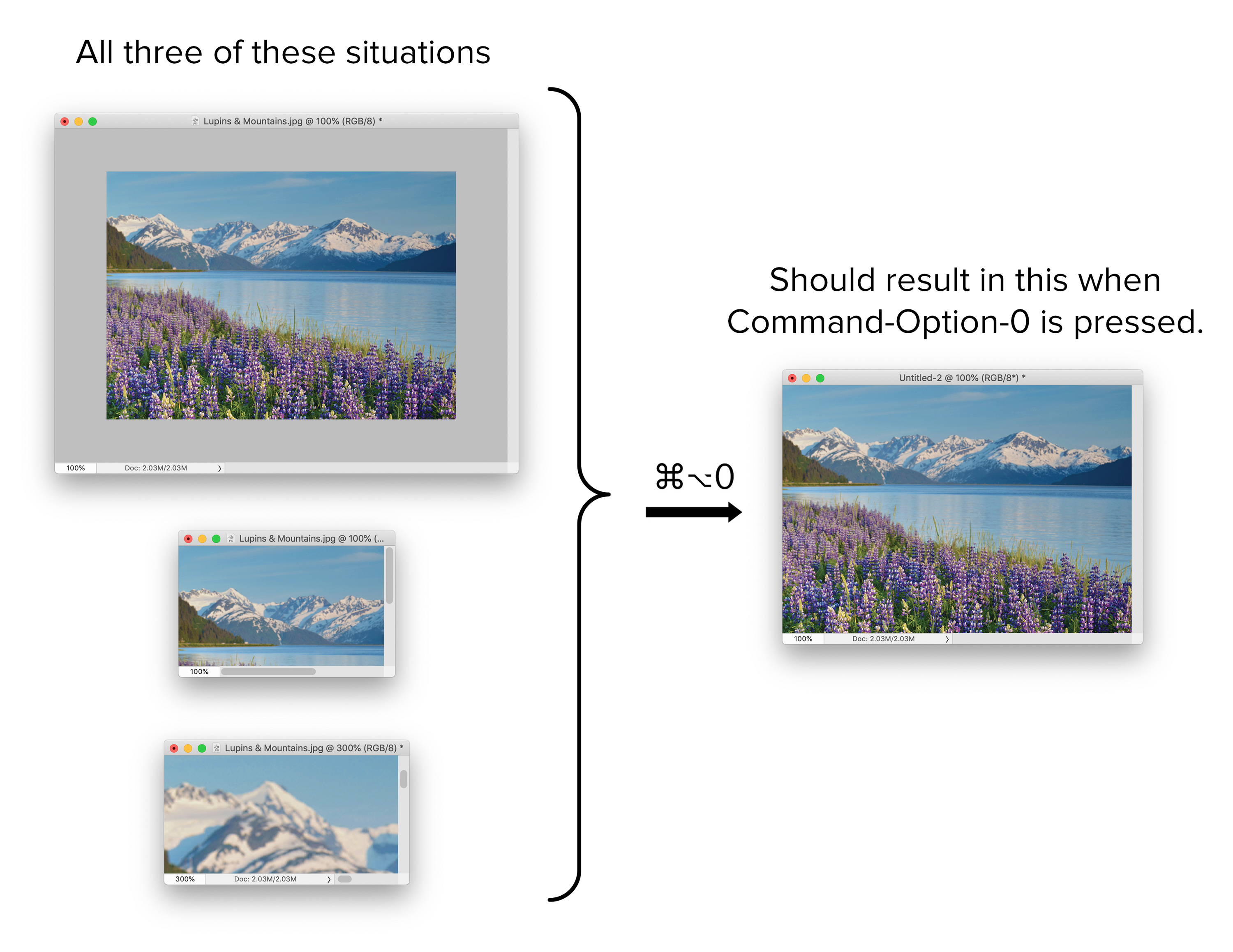 P: Command-Option-0 keyboard shortcut is broken - Adobe Community ...