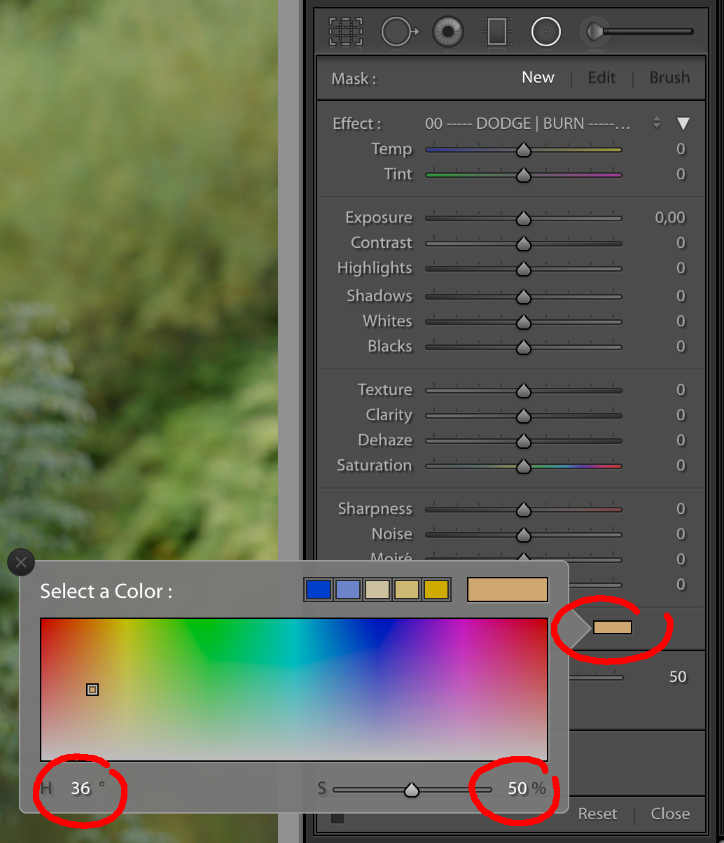 How to change Color-value of localized adjustments... - Adobe Product ...