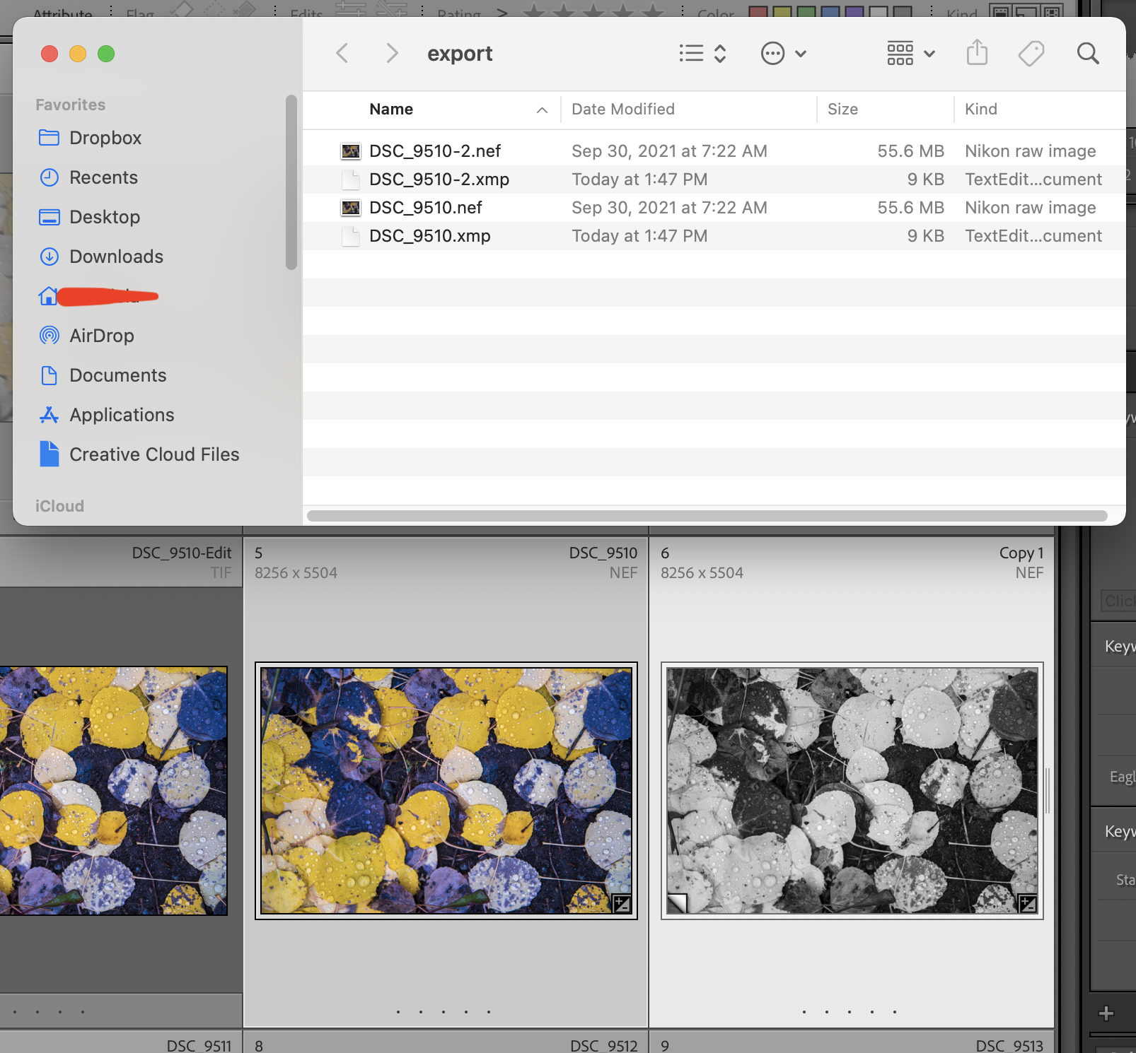 p: Save virtual copies' settings as xmps - Adobe Community - 12431819
