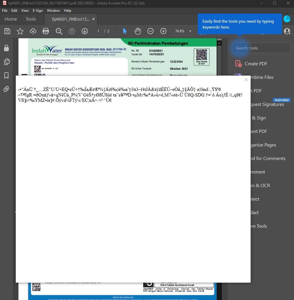 Re: Blank Pop-up screen after launching Acrobat Pr... - Adobe Support ...