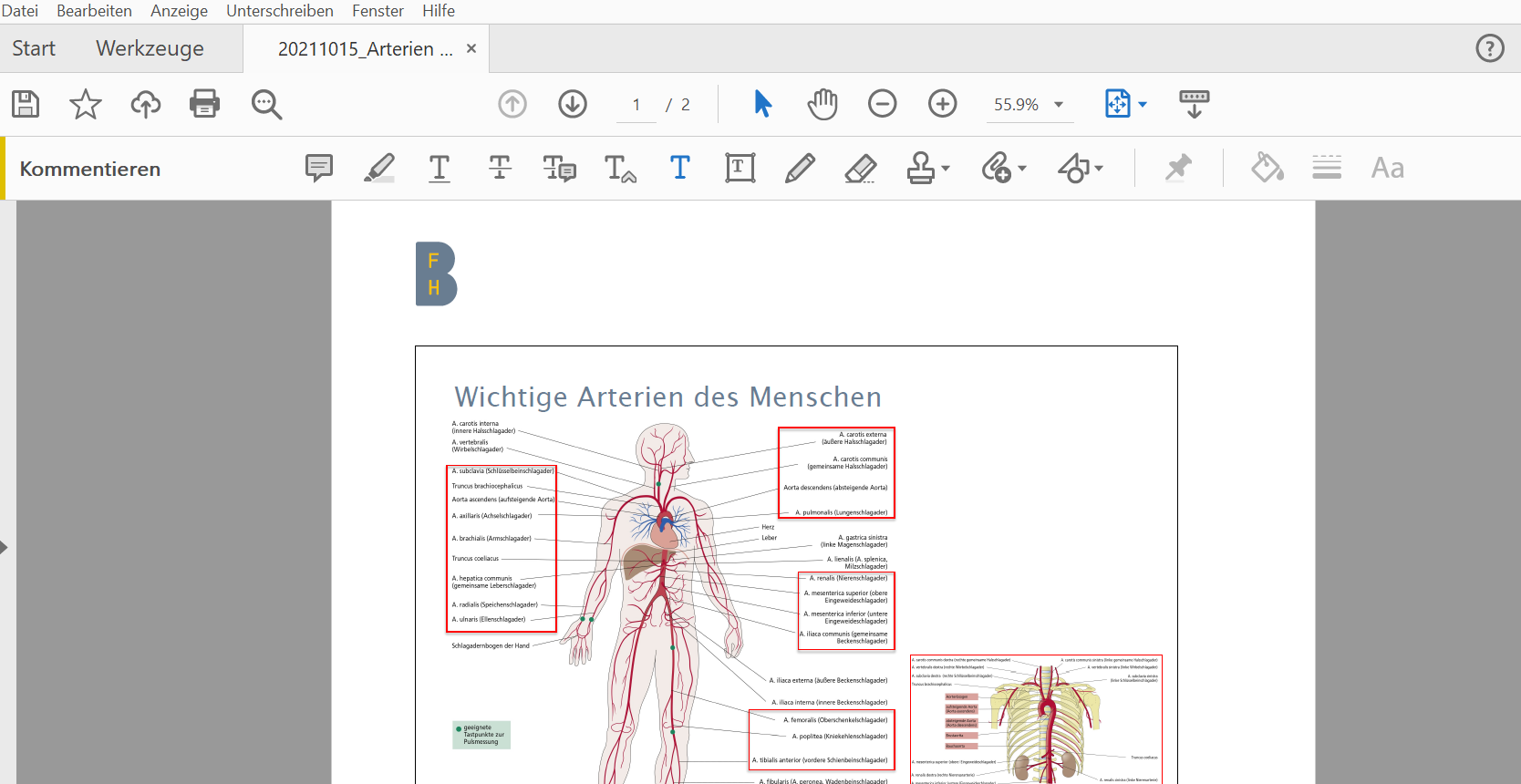 Textkommentare werden nicht angezeigt sobald man a... - Adobe Product ...