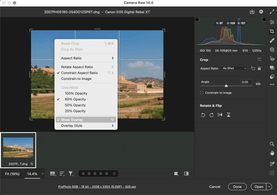 Solved: Removing Grid lines while cropping in Camera RAW 1... - Adobe ...