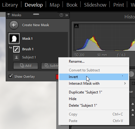 P:(Masking) Invert/Flip Mask Group - Adobe Product Community - 12480309