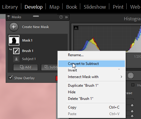 P:(Masking) Invert/Flip Mask Group - Adobe Product Community - 12480309