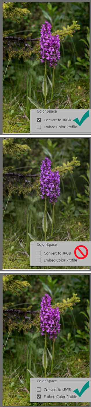 P: Export As: fix the "embed color profile" checkb... - Adobe Product ...