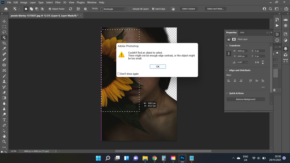 Redraw issue and freeze using Object Selection Too... - Adobe Community - 12558419