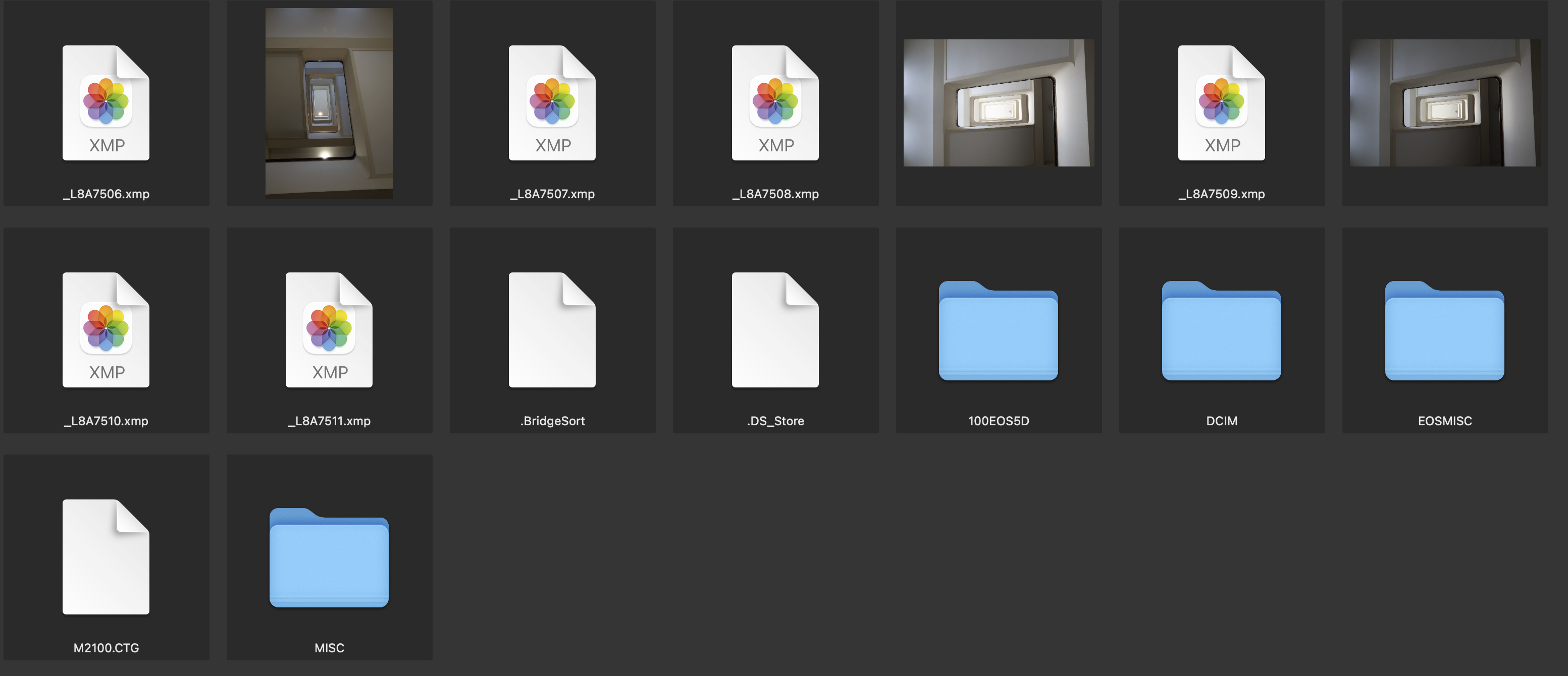 Bridge Creating Multiple Files When Downloading - Adobe Product ...
