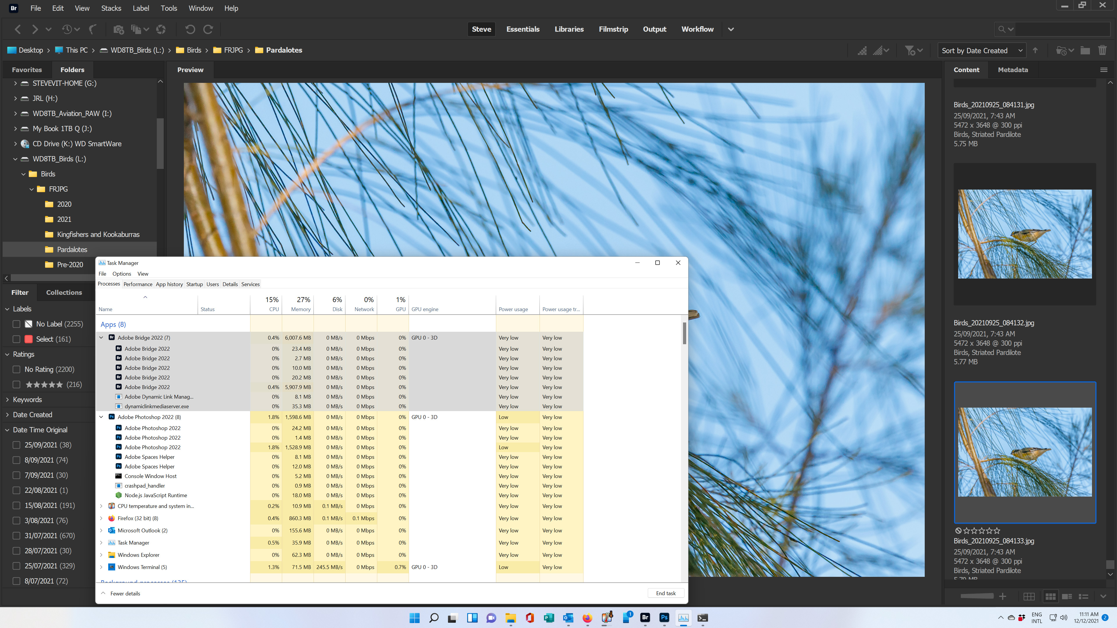 Solved: Bridge 2022: How to again rename paired RAW and JP... - Adobe ...