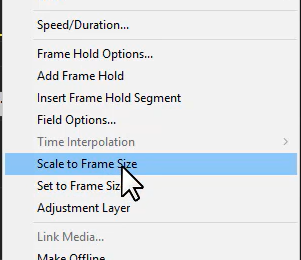Solved: Scale to Frame Size - Adobe Community - 12604191