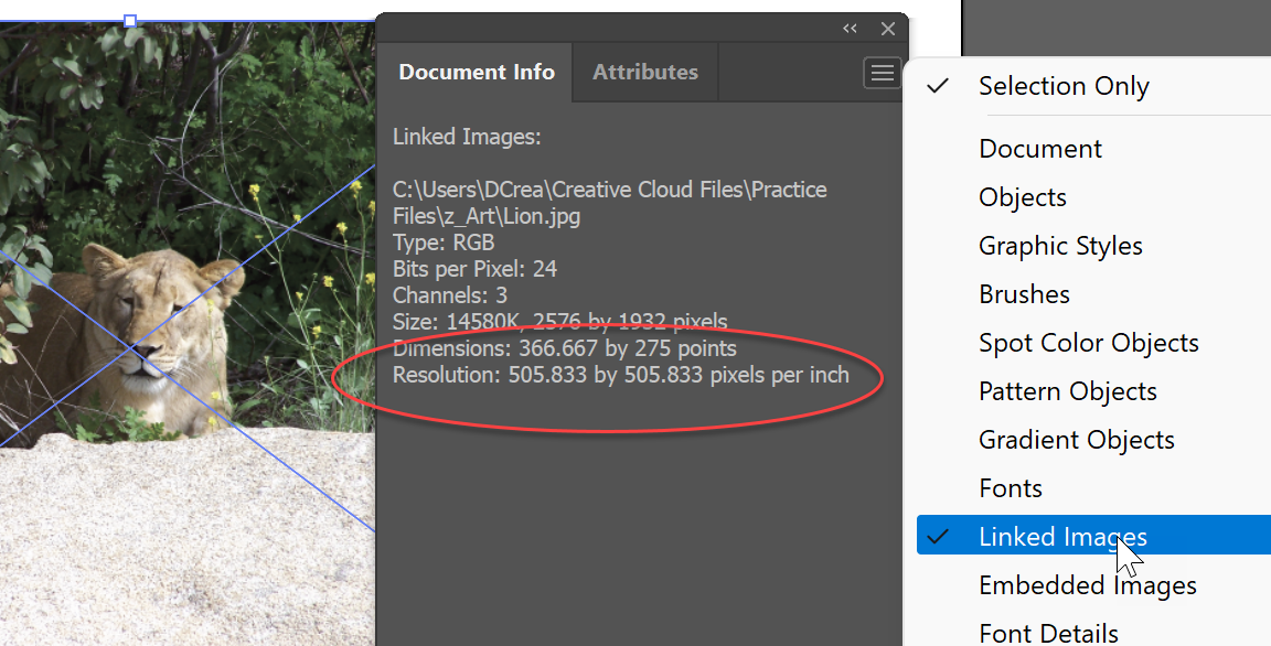 PDFS/PNGS look blurry when placing in InDesign - Adobe Product ...