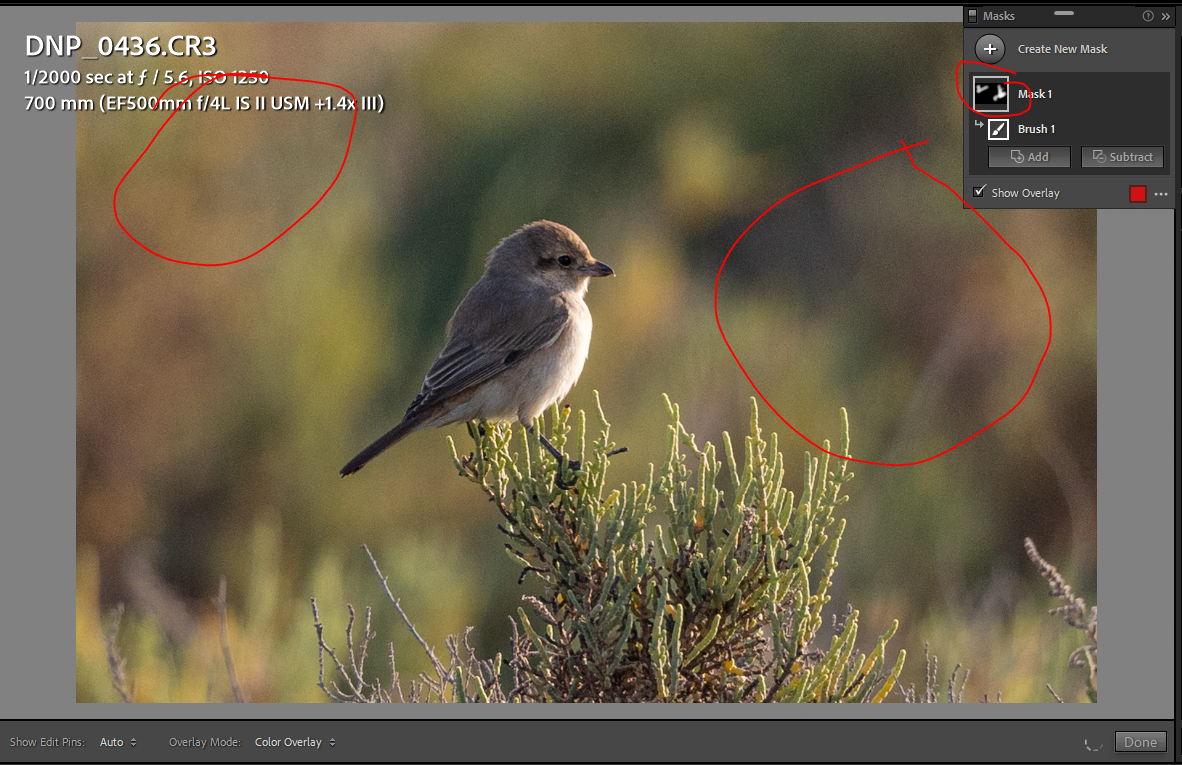 Solved: Mask overlay does not show up. - Adobe Product Community - 12616605