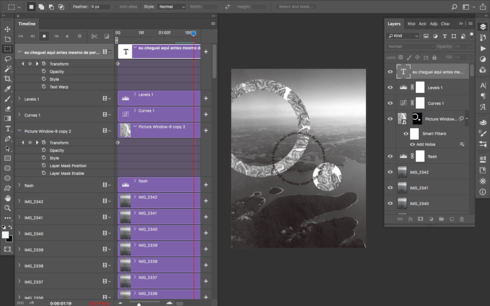 P: I can't export a file into a GIF - Adobe Community - 12663241
