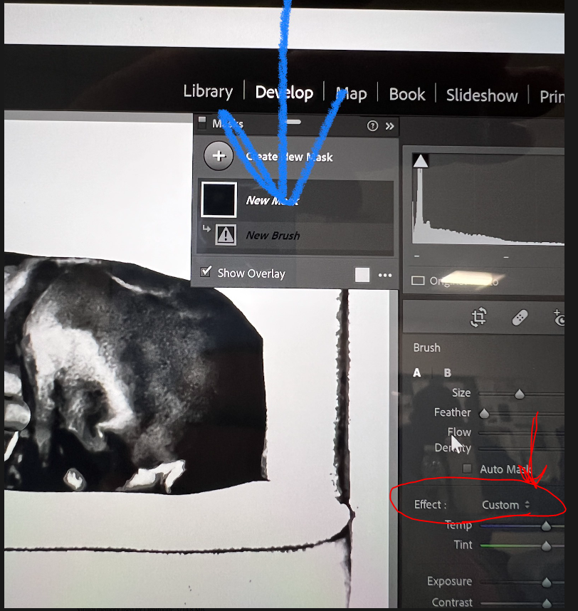 Solved: Brushes not showing up - Adobe Product Community - 12706879