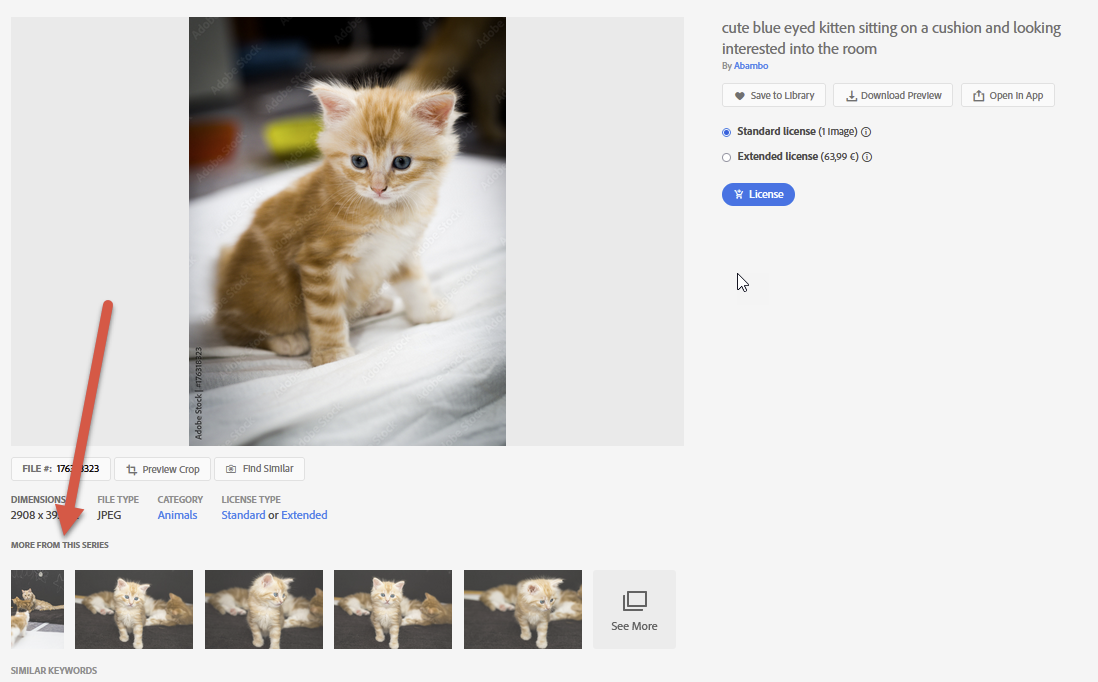 Look up a photo by Adobe Stock file name - Adobe Product Community ...