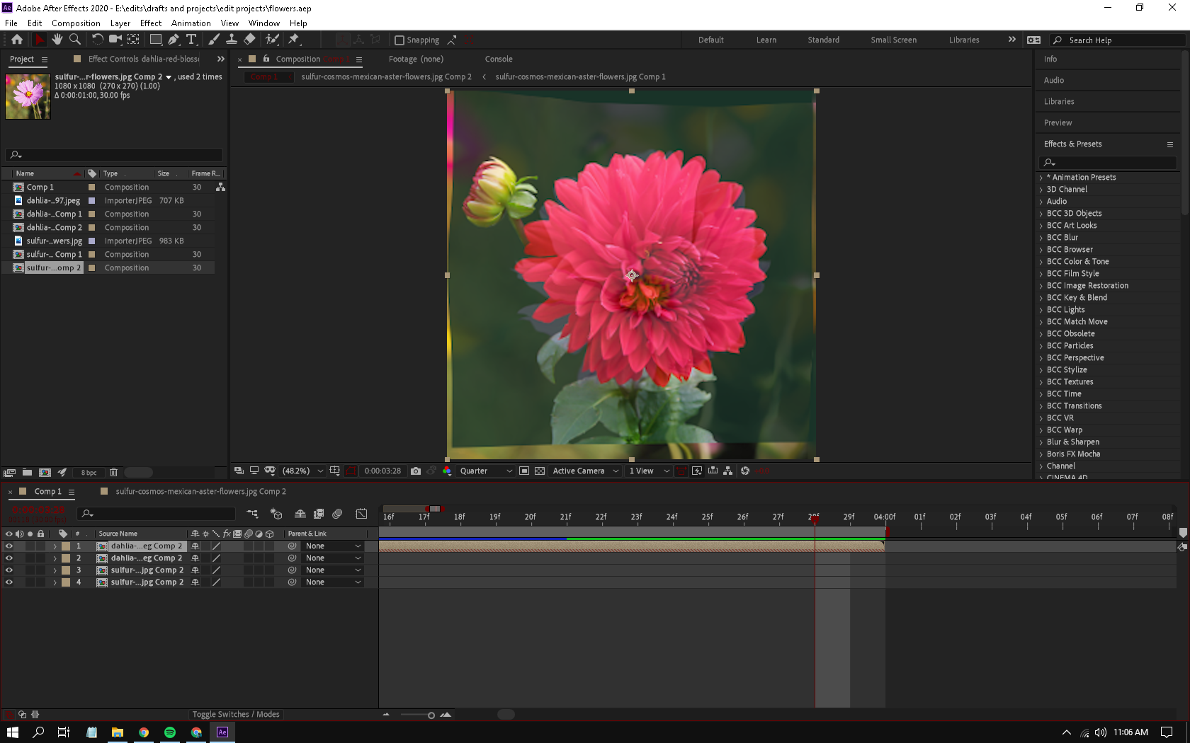 Twixtor and Reverse Problem - Adobe Product Community - 12732264