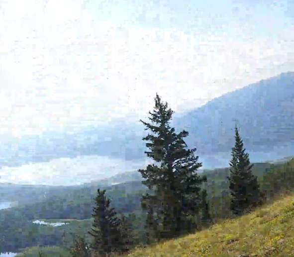 Poor quality video export despite using high-quali... - Adobe Product ...