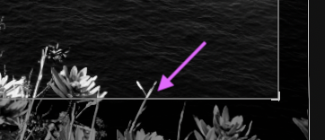 Full screen doesn't always reflect correct crop - Adobe Support ...