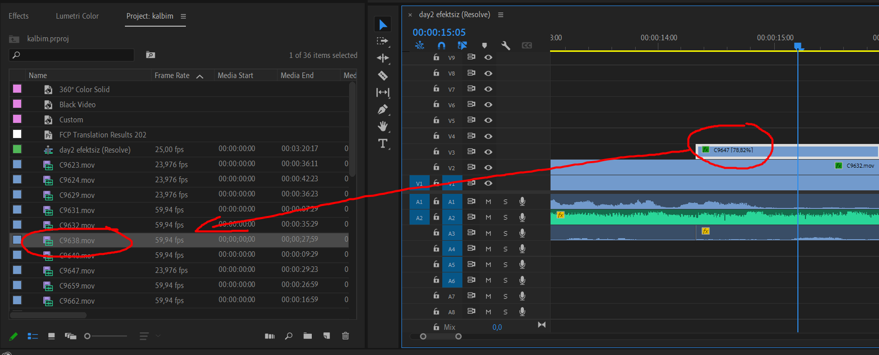 Names in timeline and project section are differen... - Adobe Product ...