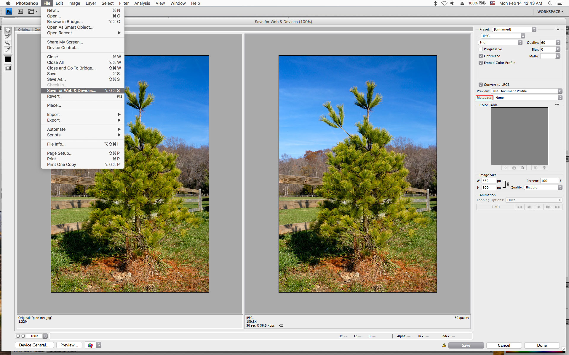 Solved: Photos manipulated in CS4 not working in a slidesh... - Adobe ...