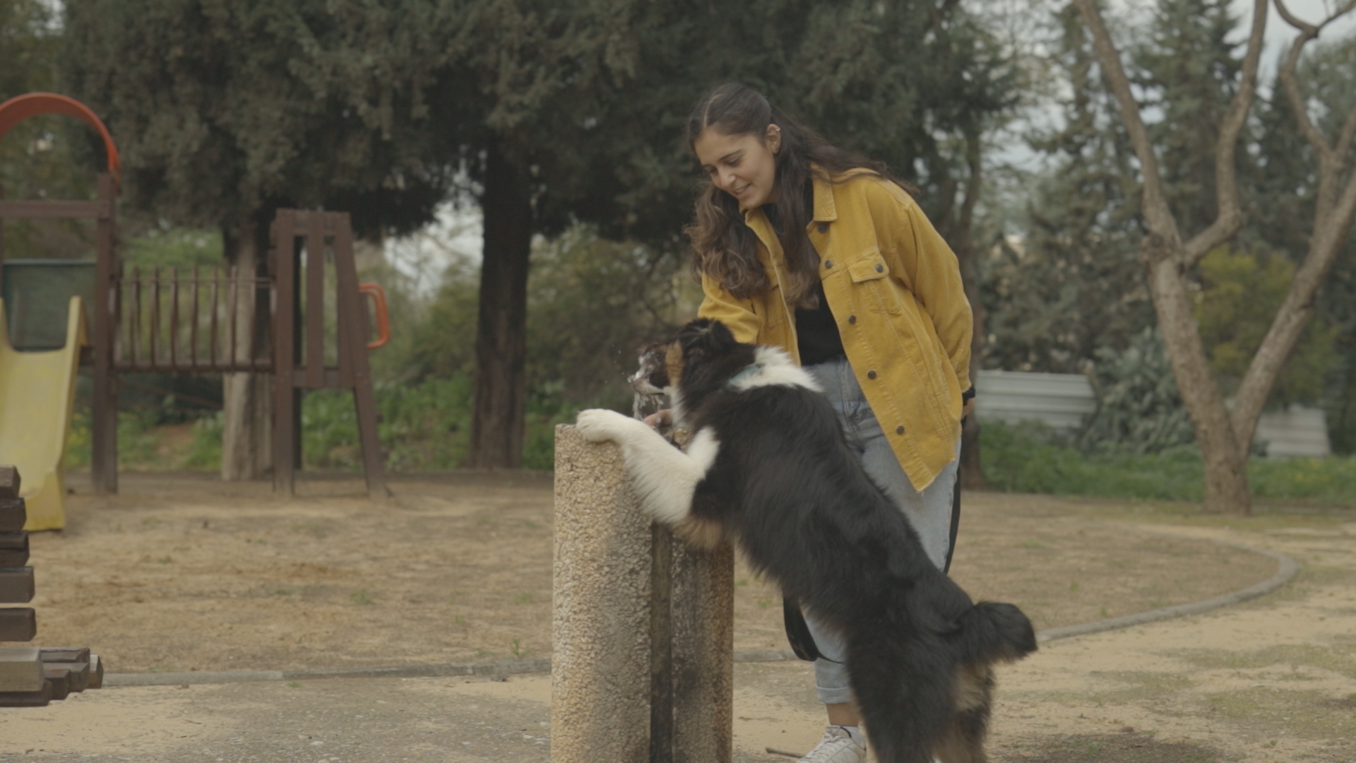 Lumetri color tinting footage when adjusting curve... - Adobe Product ...