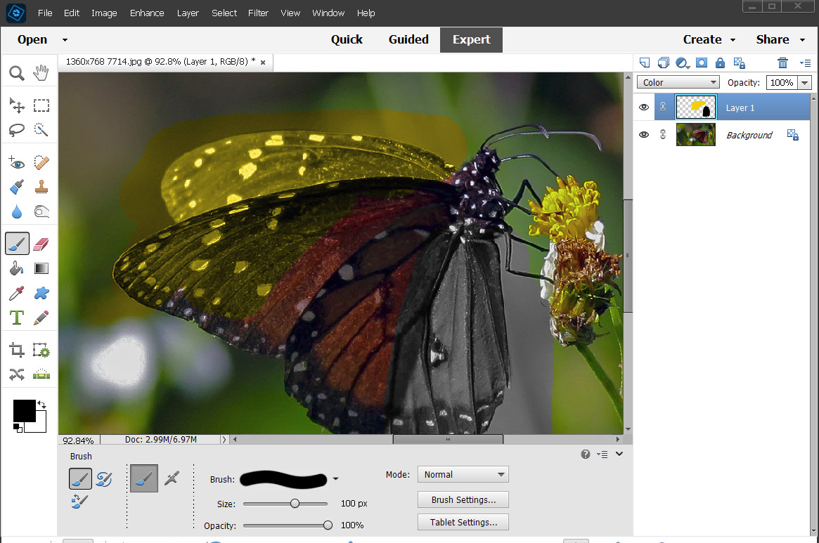 cant color a picture using the default black color - Adobe Product ...