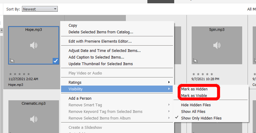 What are the symbols in the thumbnails in organize... - Adobe Product ...