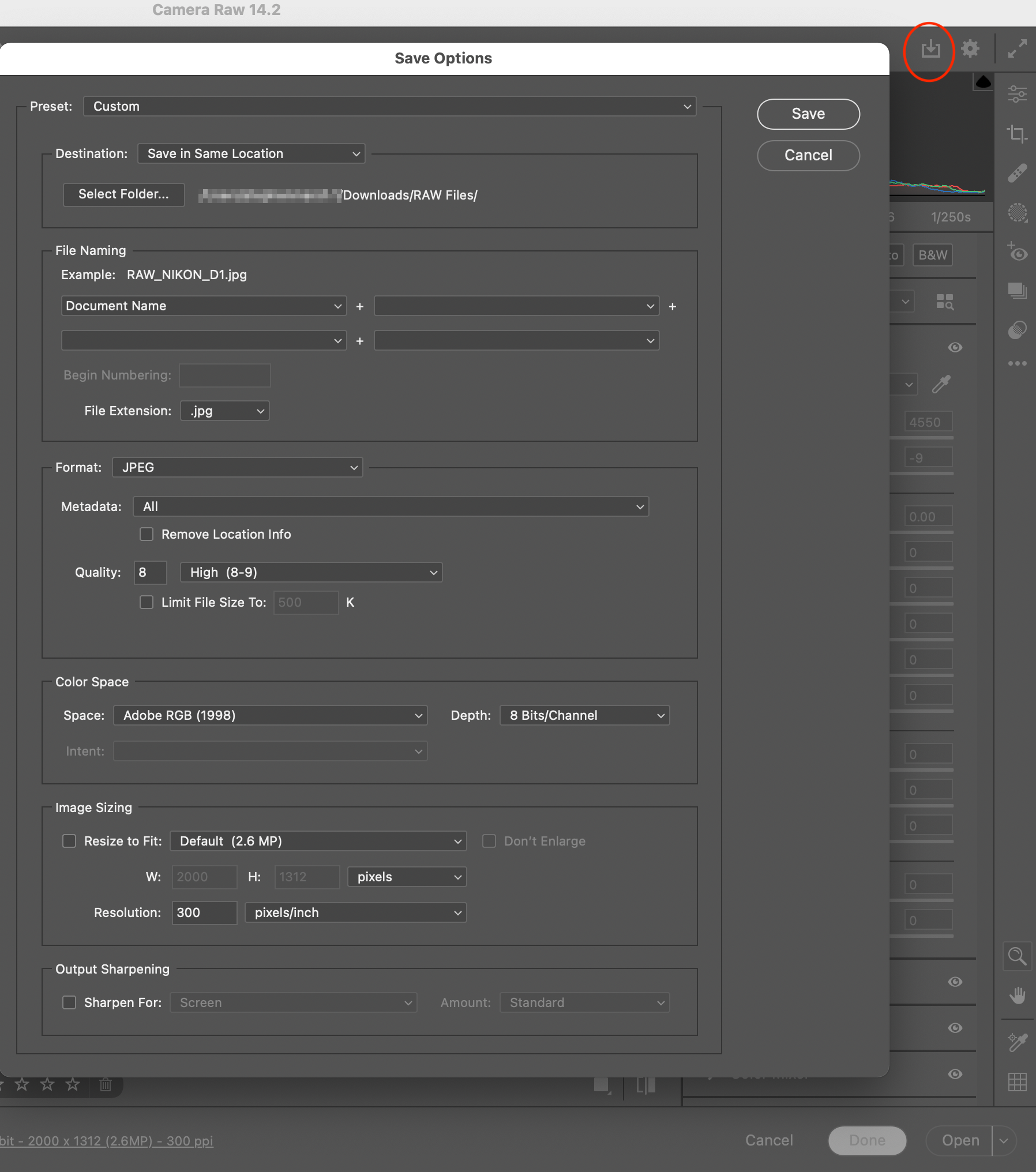 Solved: file conversion from .dng to 'jpg - Adobe Product Community ...