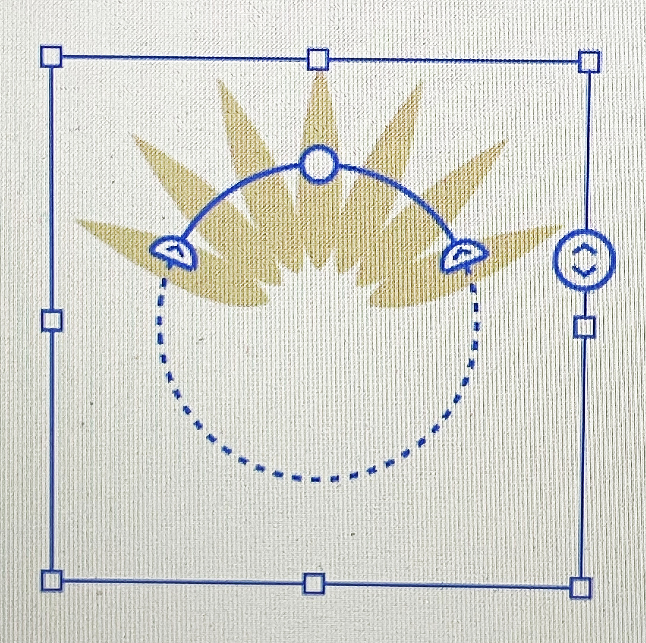 Solved: How do I clean up these shapes created on a circul... - Adobe ...