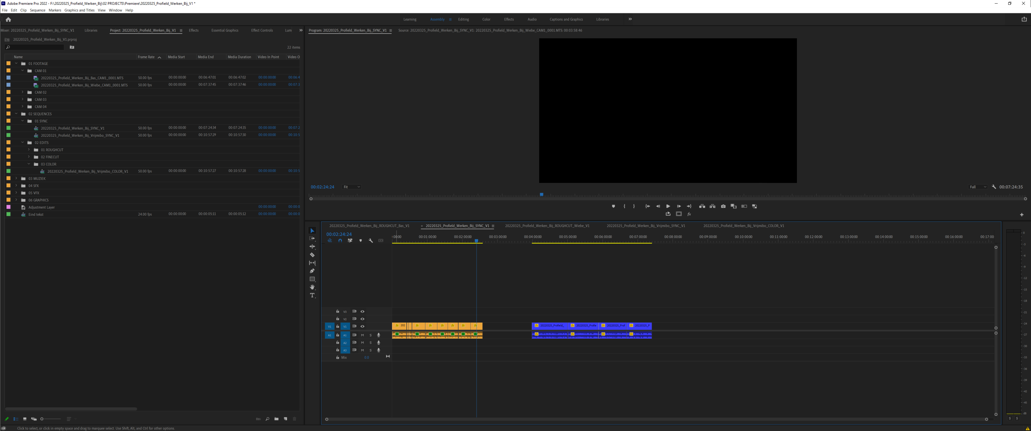 Black screen in program monitor and specific timel... - Adobe Community ...