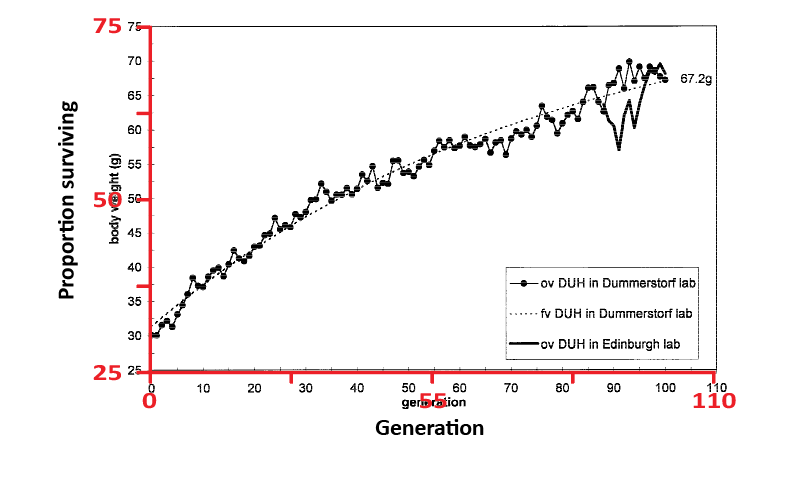 Solved: Simple way to draw path with points at joints? - Adobe Product ...