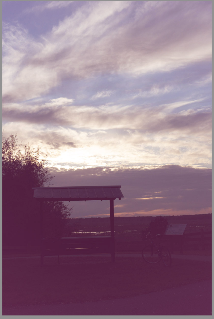 Green/Pink color cast to photos in Lightroom - Adobe Product Community ...