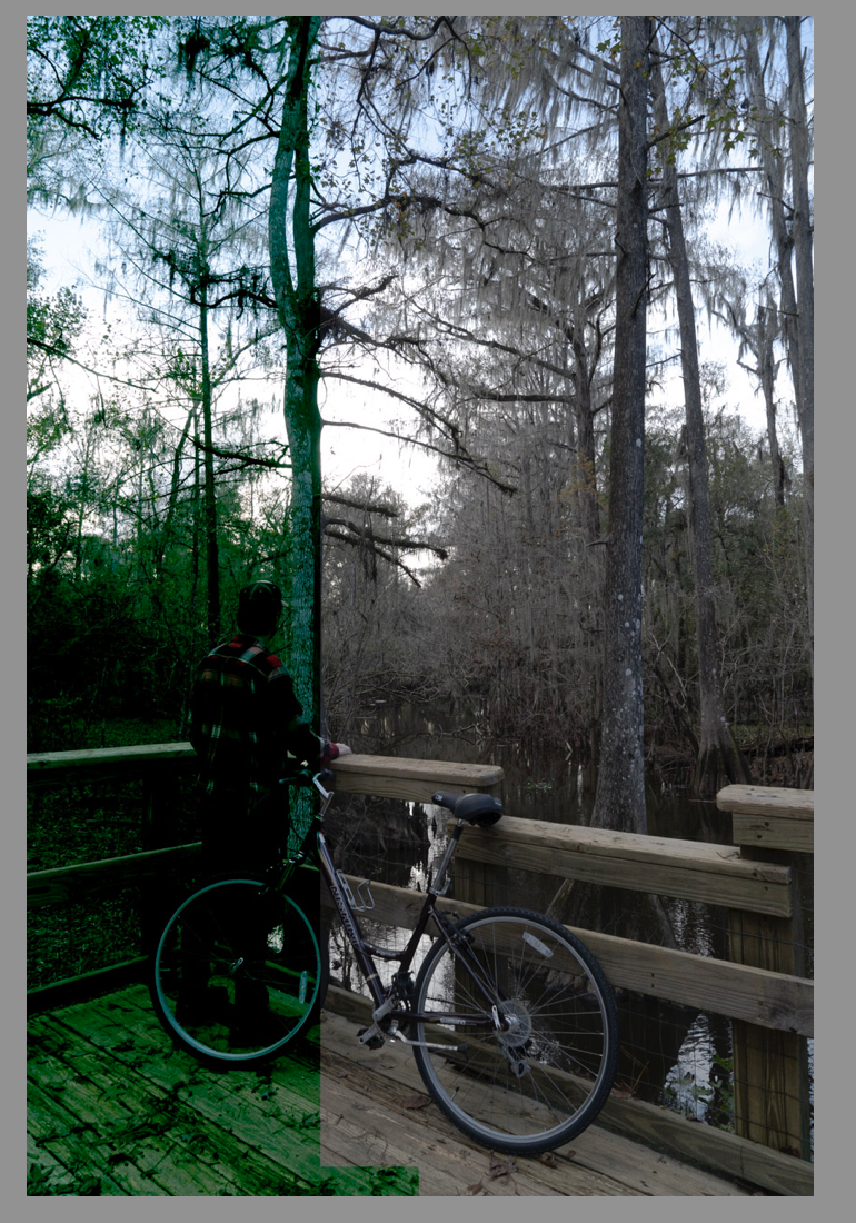 Green/Pink color cast to photos in Lightroom - Adobe Product Community ...