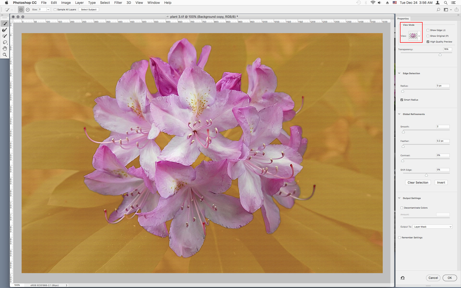Solved: Select and Mask Transparency or opacity slider not... - Adobe ...