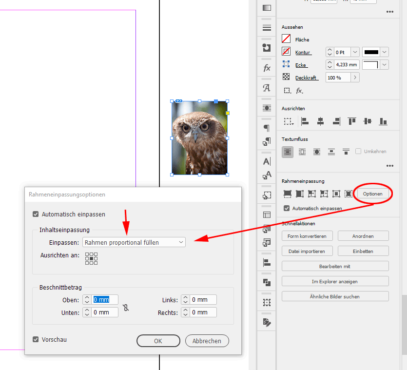 Solved: question about image frame - Adobe Community - 12897357