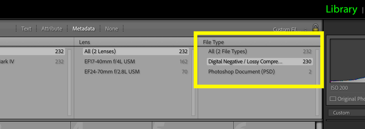 Solved: RAW+JPEG format imports for the same photo: how to... - Adobe ...