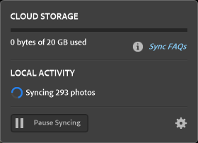 Solved: No sync activities when trying to sync collections - Adobe ...