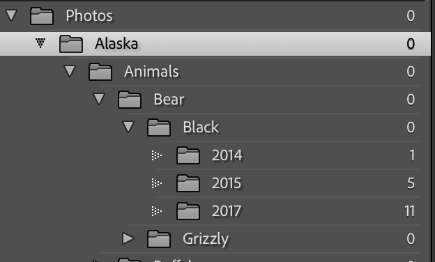 Parent folder doesn't recognize subfolders - Adobe Community - 12941797